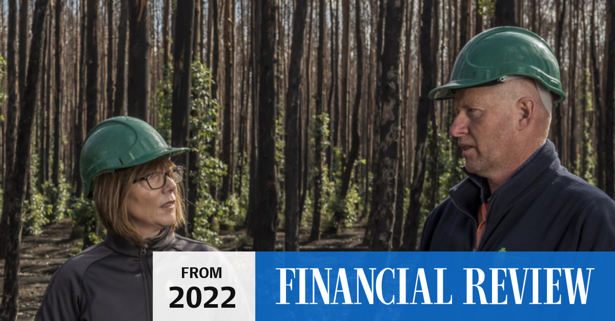Kiland rustles up punters for biochar venture
