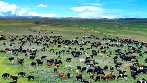 New Zealand rich lister Allan Pye selling Tassie farm for $65m