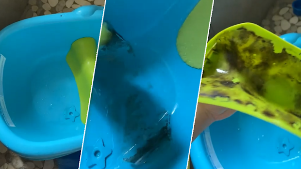 Baby Products: "I bathed my newborn in mould," Mum's shock discovery in ...