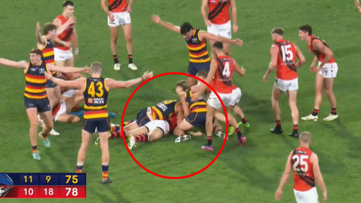 AFL news 2024: Leigh Matthews reaction, Sam Draper dive, holding the ...