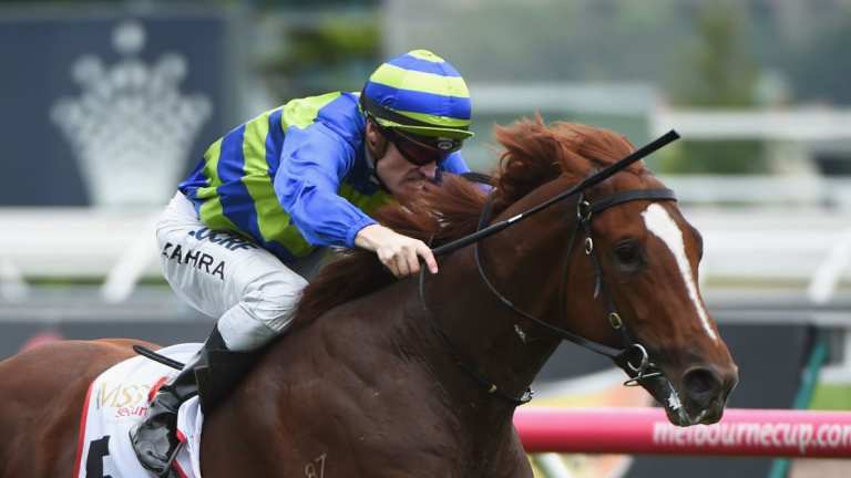 Jockey Mark Zahra at centre of legal claim over horrific 2010 race fall