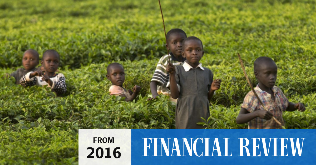 Kenya may offer tea futures contracts, a world first