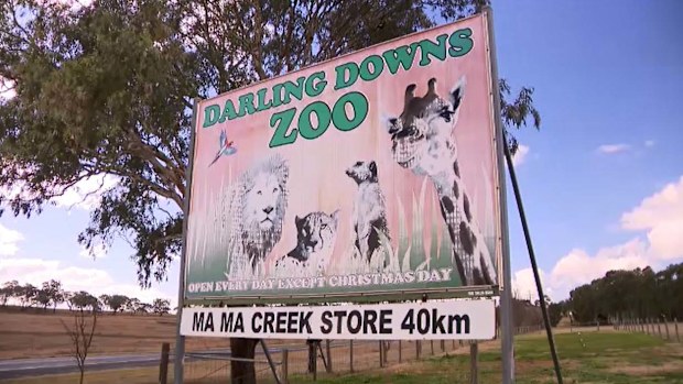 Darling Downs Zoo: Queensland zoo confirms it won't euthanise or ...