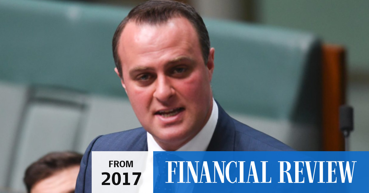 Tim Wilson MP proposes to his boyfriend during same-sex marriage speech