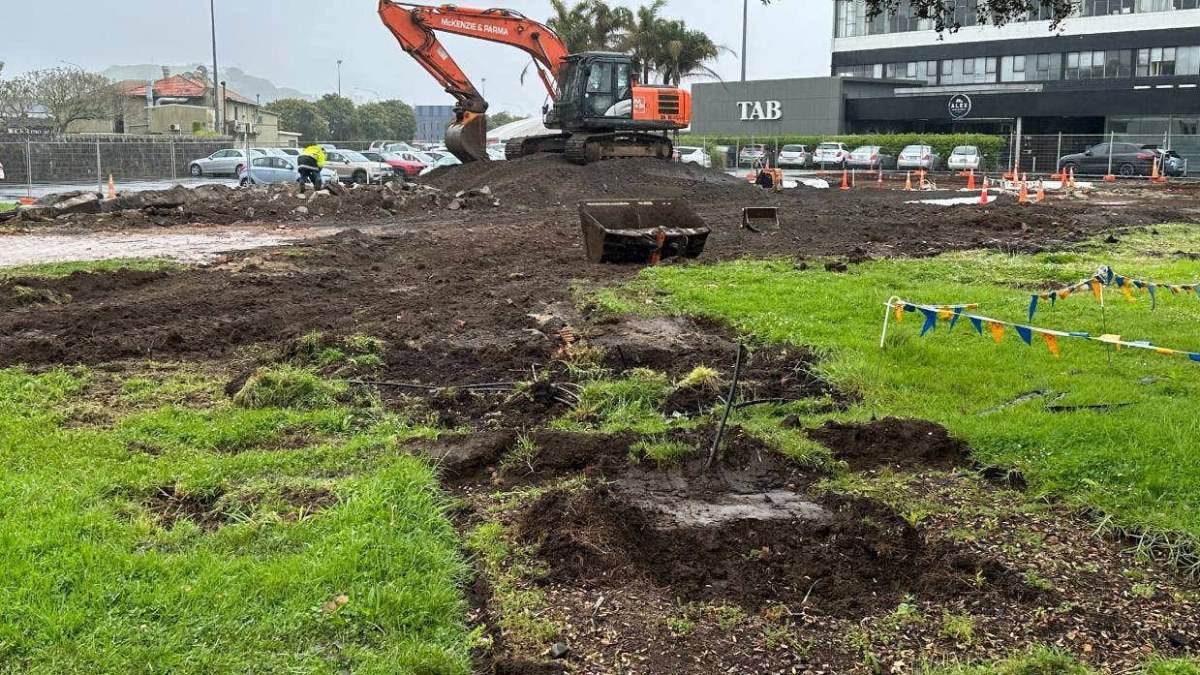 Horse racing news 2023 | Cardigan Bay burial site, Alexandra Park ...