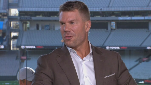 david warner cricket commentary