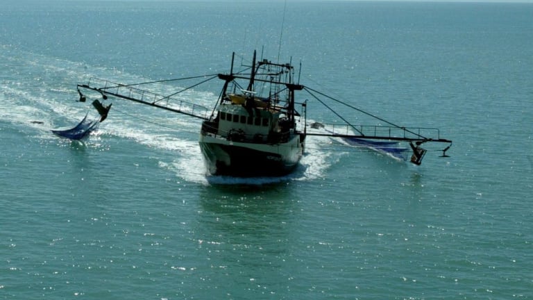 Sunken Queensland trawler 'too deep for divers'