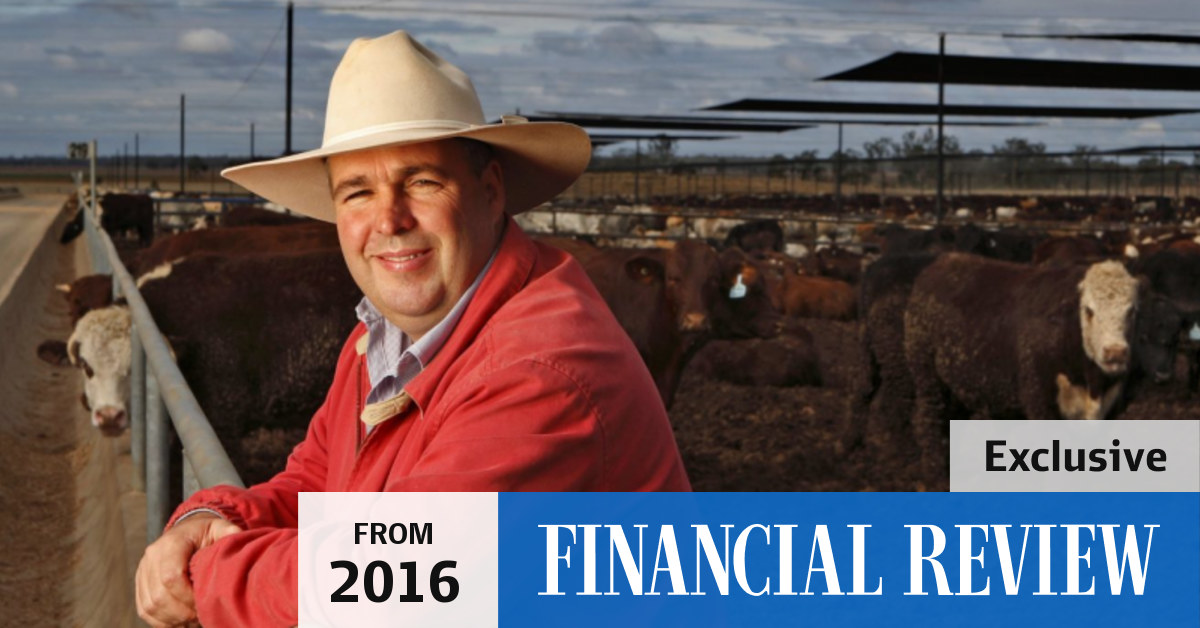 Mort & Co enlist Moelis for $175m cattle station and feedlot float