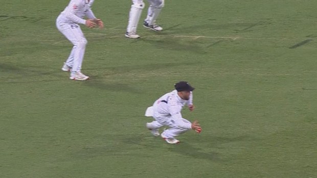 The Ashes second Test 2025 | Day two wrap at the Gabba, England dropped ...