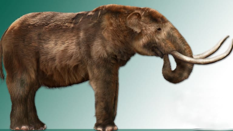 Finding of mastodon bones may rewrite story of humans in Americas
