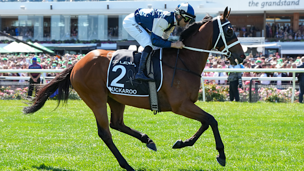 Melbourne Cup Carnival 2025: Buckaroo confirmed to run, betting odds ...