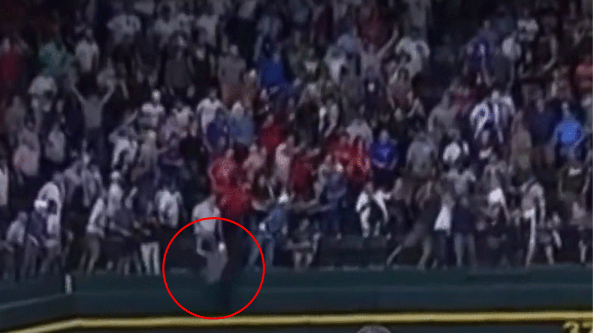 Aaron Judge home run: A﻿ fan jumps railing trying to catch Aaron Judge's 62nd home run ball