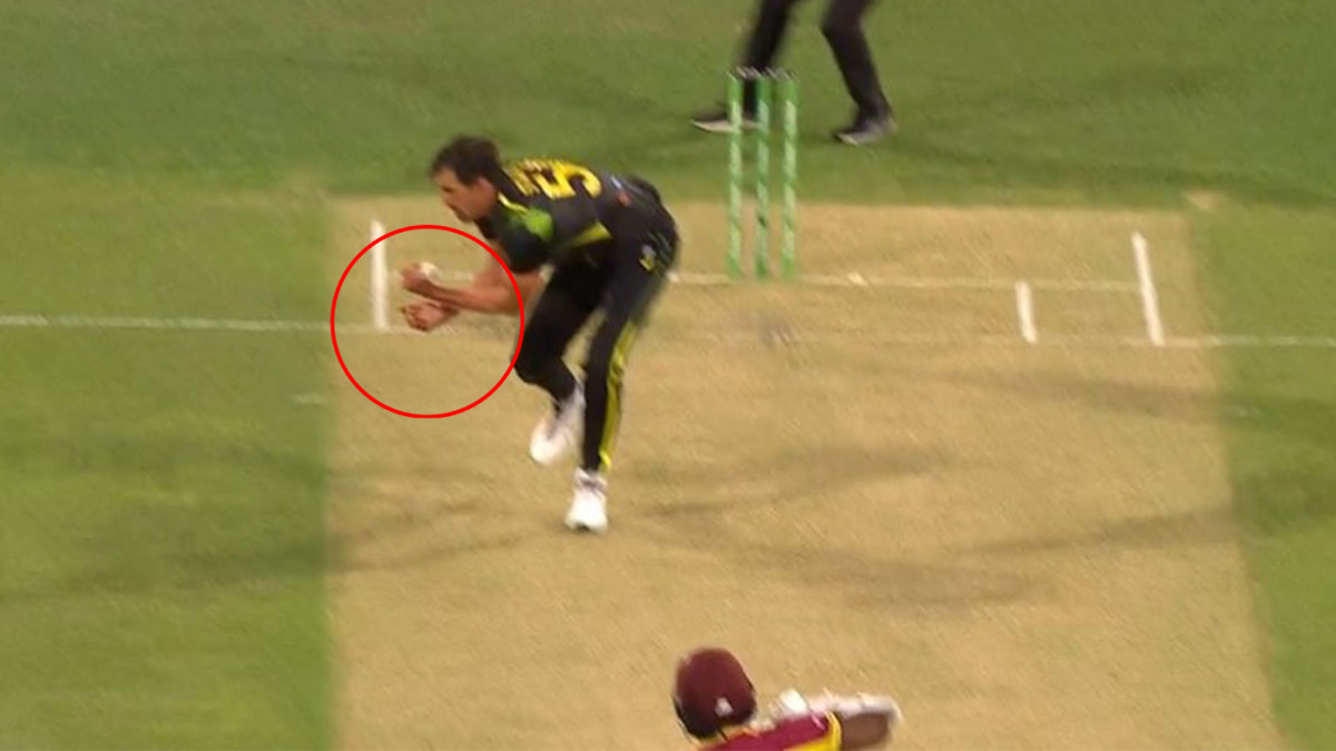 Cricket: Australia v West Indies, second T20, Mitchell Starc catch ...