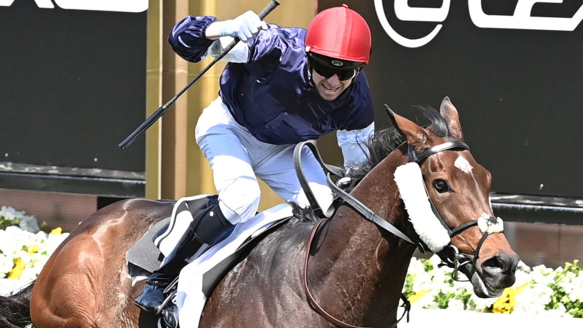 Melbourne Cup results 2020: Winner Twilight Payment, placings, last ...