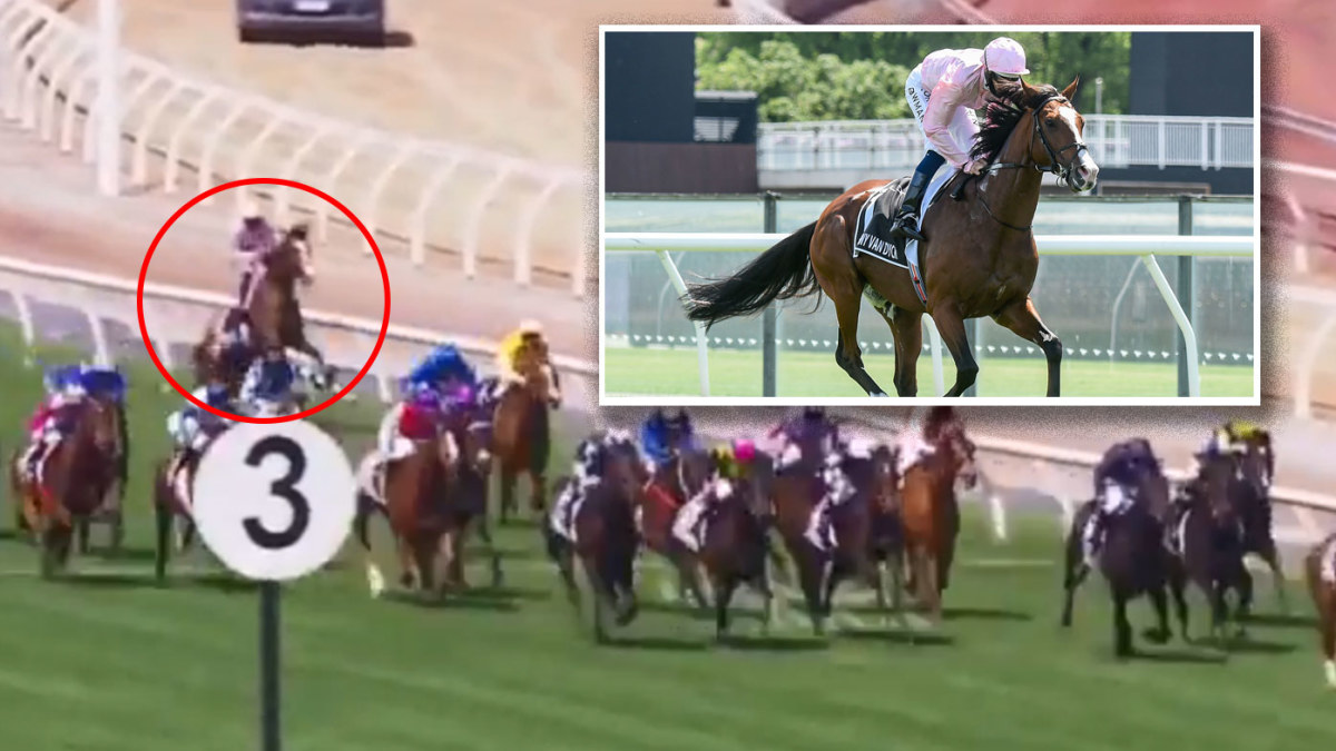 Melbourne Cup horse dead: Anthony Van Dyck euthanised after breaking ...