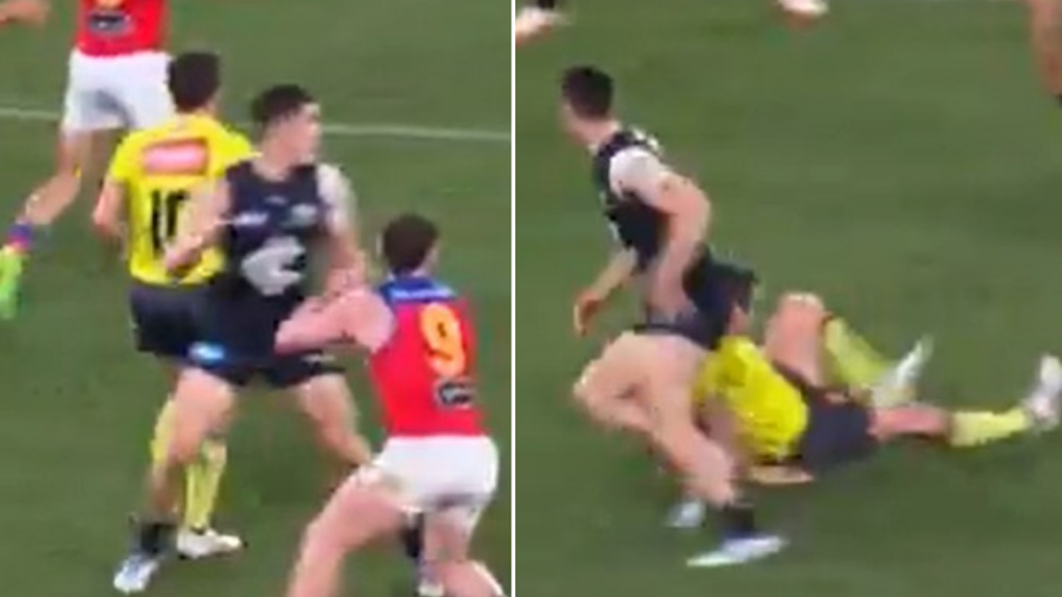 AFL news 2025: AFL slammed for wasting money Adam Cerra Tribunal ...