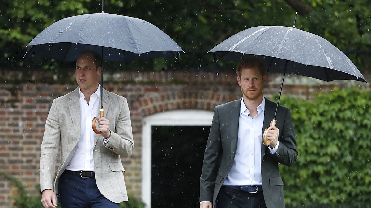 Prince William and Prince Harry to meet in private after statue of ...