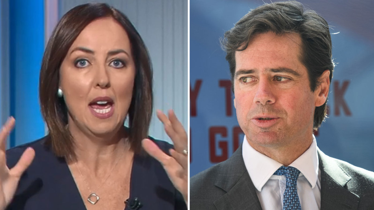 Netball legend Liz Ellis slams AFL chief Gillon McLachlan over proposed ...