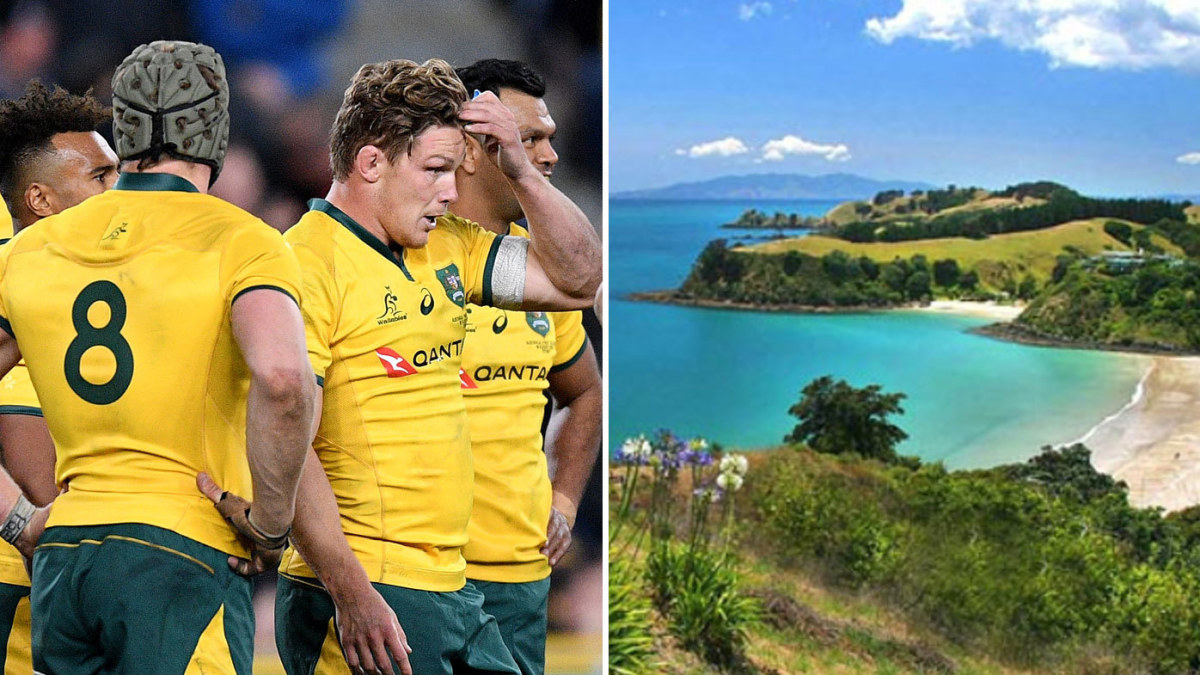 Wounded Wallabies head to island resort to prepare for Bledisloe Cup