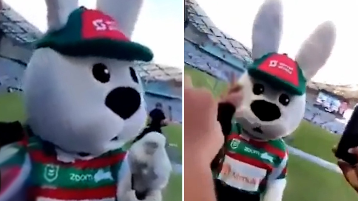 South Sydney mascot Reggie the Rabbit rough treatment video, Bulldogs ...