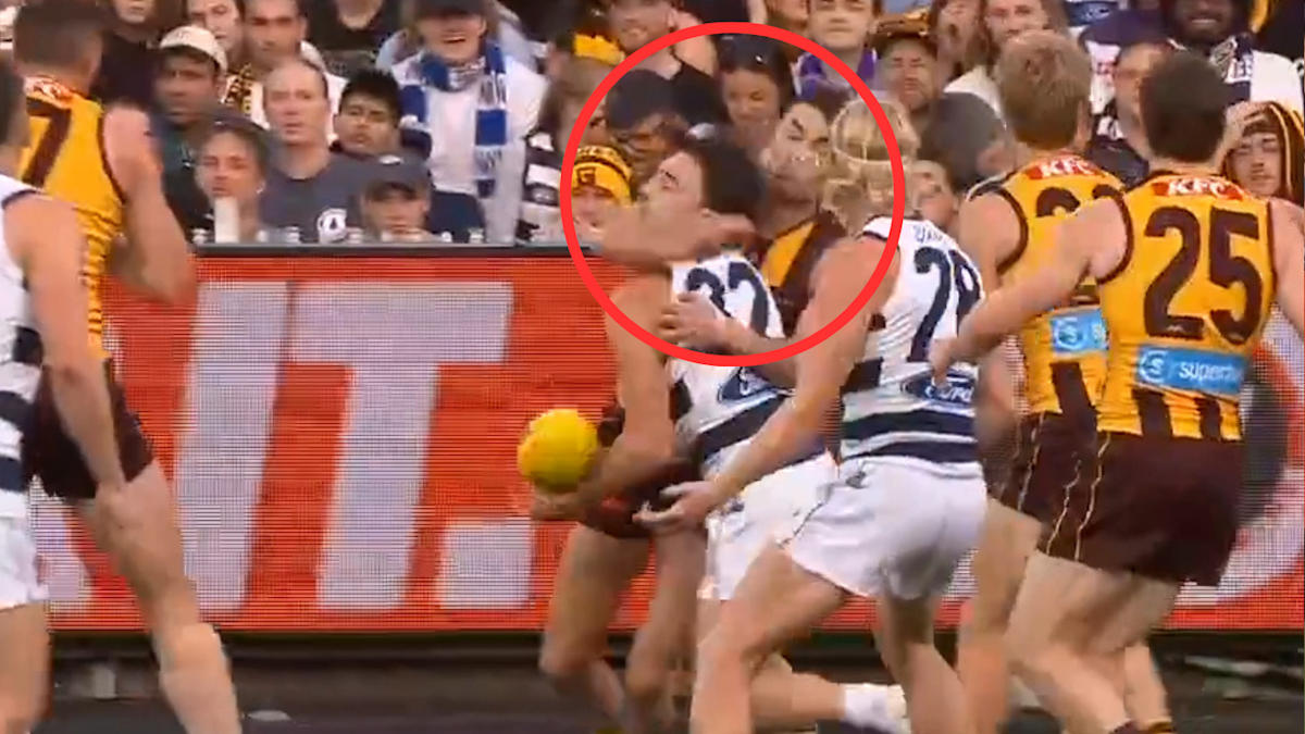 AFL News 2025: Jimmy Bartel, Matthew Lloyd and Rory Sloane weigh in on Hawthorn Hawks' Conor ...