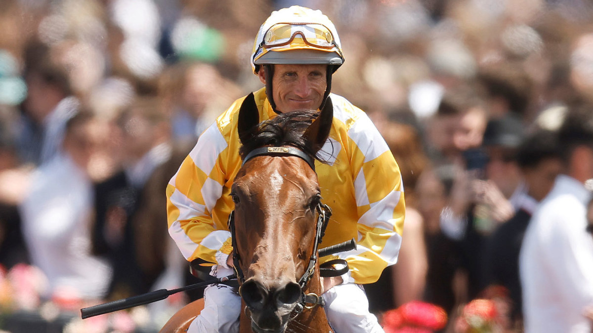 Melbourne Cup 2023 barrier draw, field, full results: Vauban draws No.3, Damien Oliver Alenquer ...