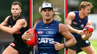AFL players, best 22 for 2025: Every club's best 22 in 2025, Bailey ...