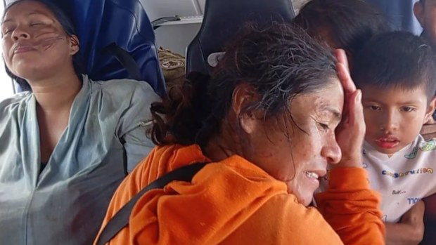Five people survive nearly two days in alligator-riddled swamp | Nine ...