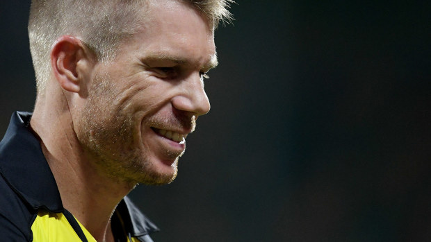 david warner cricket commentary