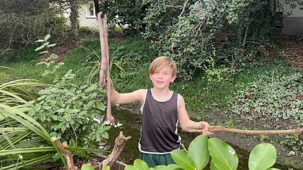 Boy finds giant backyard worm that his mum calls 'the stuff of ...
