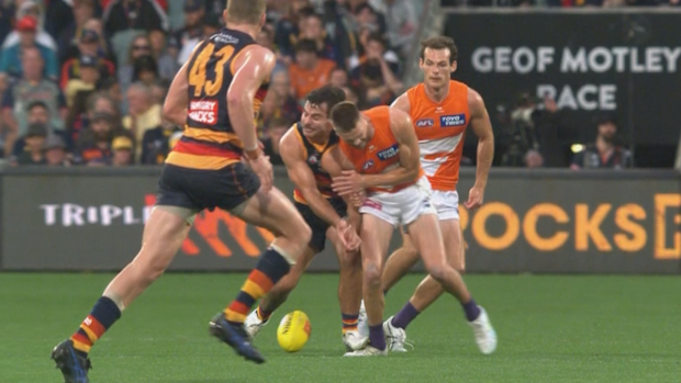 AFL news 2025: Darcy Fogarty injury update; Adelaide Crows v GWS Giants ...
