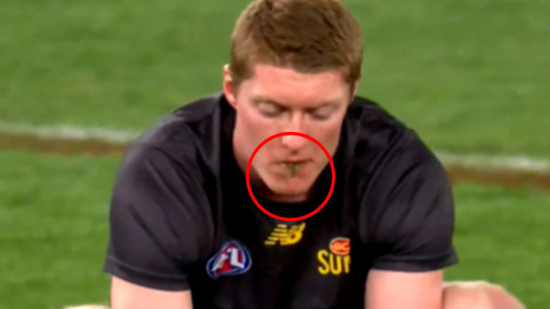 AFL news 2023: Matt Rowell eating grass pre-game ritual baffles Kane ...