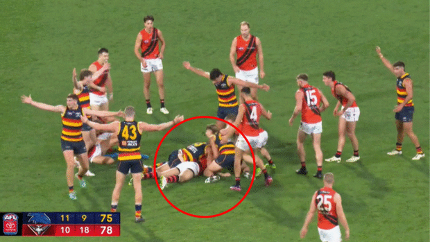 AFL News 2024: Adelaide vs Essendon, Sam Draper jump on ball ...