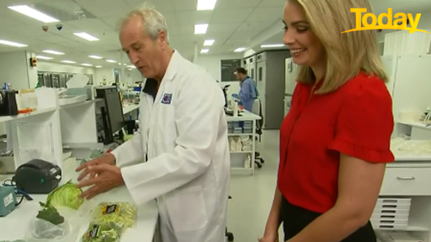 Dirty truth behind washed and ready to eat vegetables | Nine.com.au
