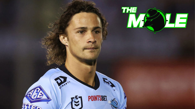 NRL news 2024, Cronulla Sharks The Mole season review, Nicho Hynes and ...