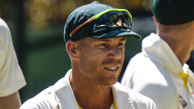 david warner cricket commentary