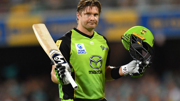 shane watson cricket