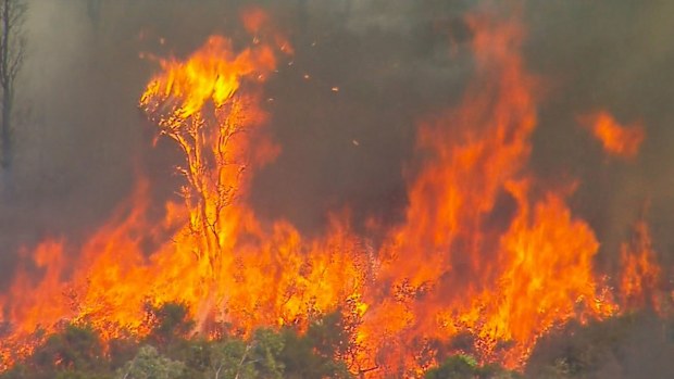 Weather forecast Australia: El Niño has officially been declared. But ...