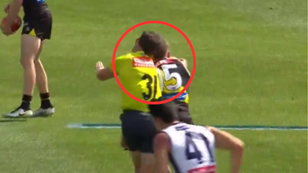 AFL News 2025: Umpire Paul Rebeschini knocked out during Richmond versus Fremantle game in ...