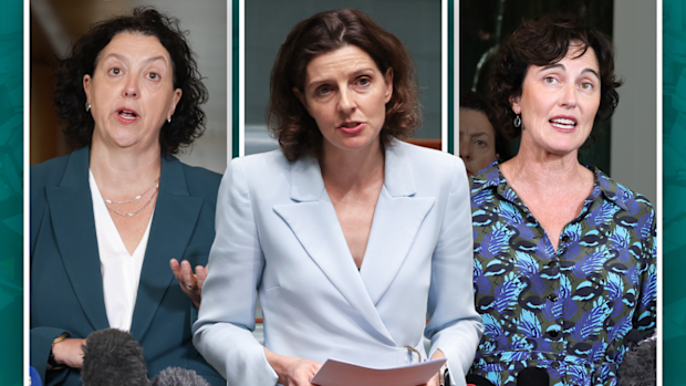 Federal Election 2025 results: Teal Independents prove they're not 'one ...