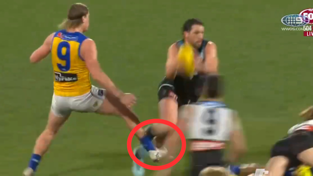 AFL News 2025: Harley Reid non-suspension for tripping Travis Boak ...