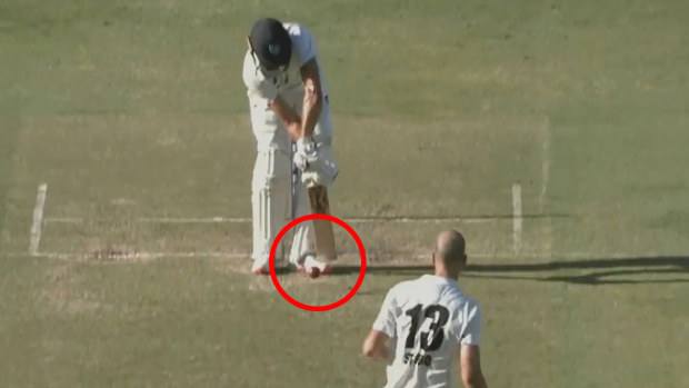 Cricket news 2024 Sheffield Shield: WA issues please explain after NSW ...