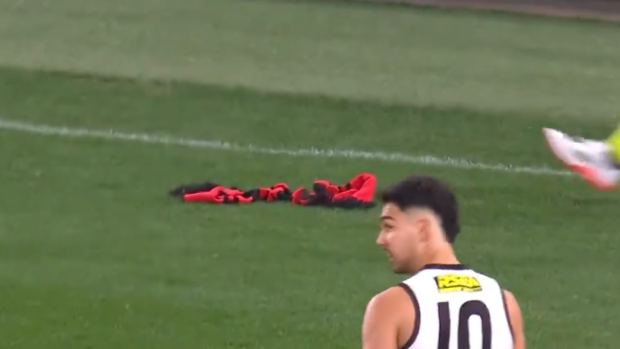 AFL News 2024: Essendon fans abuse players, loss to St Kilda, reaction ...