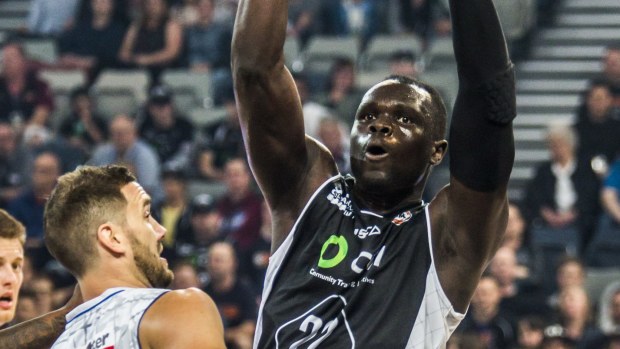 New season NBL crowds on the rebound