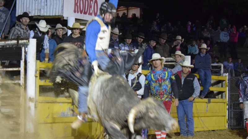 Bull rider claims workers compensation after severe injury at rodeo