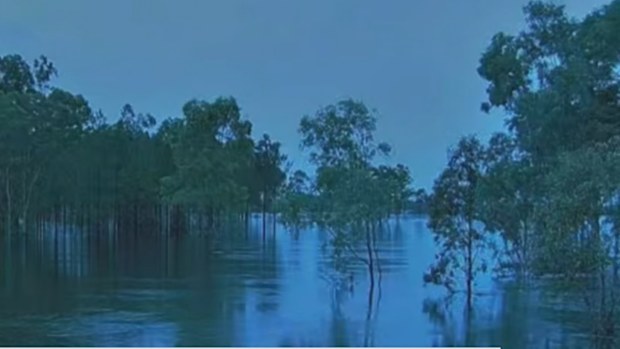 Queensland weather update: Sunshine Coast, northern interior told to ...
