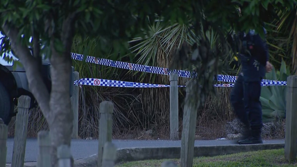 Narangba shooting: Man shot dead by Queensland police wearing tactical ...