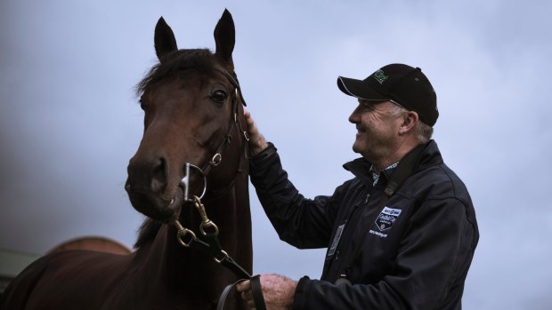 How David Hayes has built a horse racing business empire