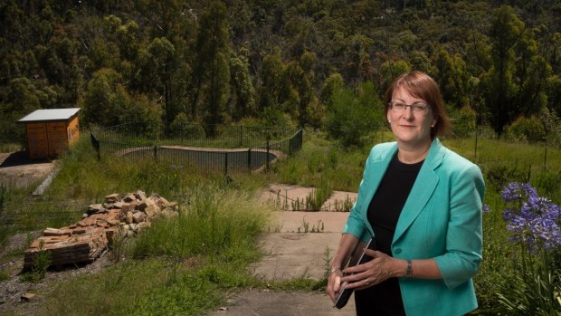 How the Cloud can protect you in a bushfire