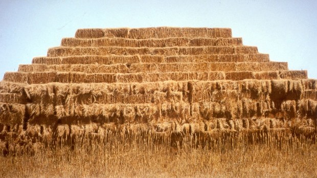 William Delafield Cook: the amazing realism of an Australian landscape ...